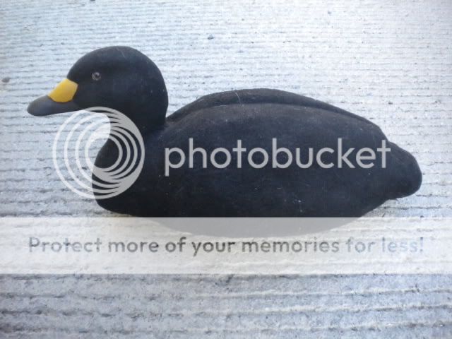 A few recent projects. | Utah Wildlife Forum