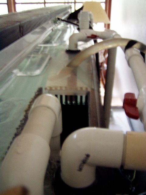 overflow to canister filter | MonsterFishKeepers.com