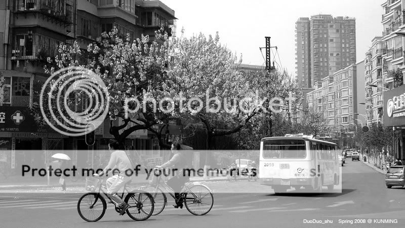 Same time, last year. | DuoDuo